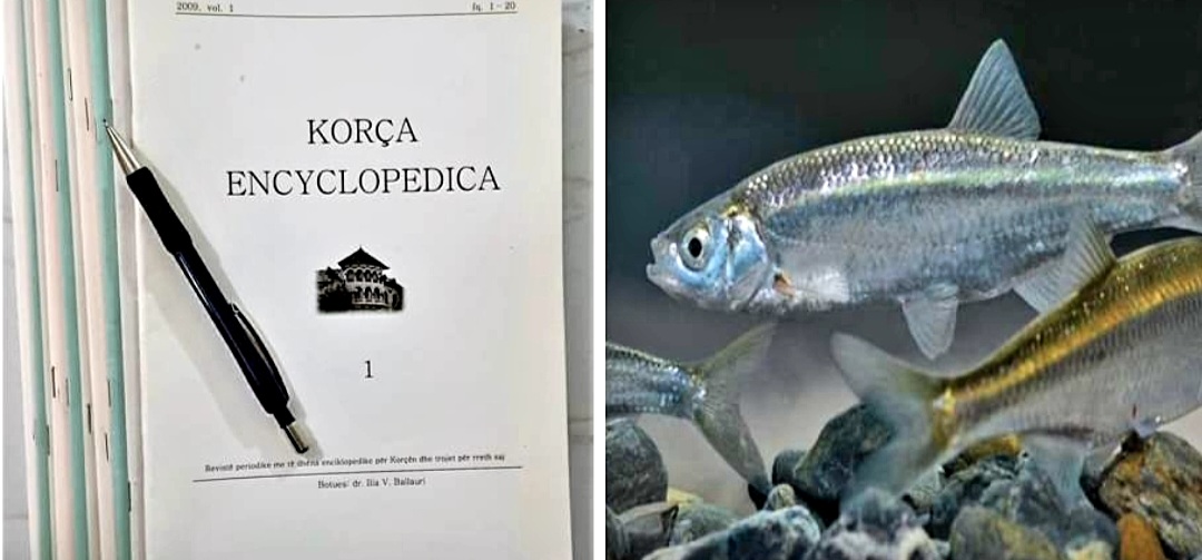 CIRONKAT E PRESPËS_ “Të tre vendet që ndajnë mes tyre liqenet e Prespës ...